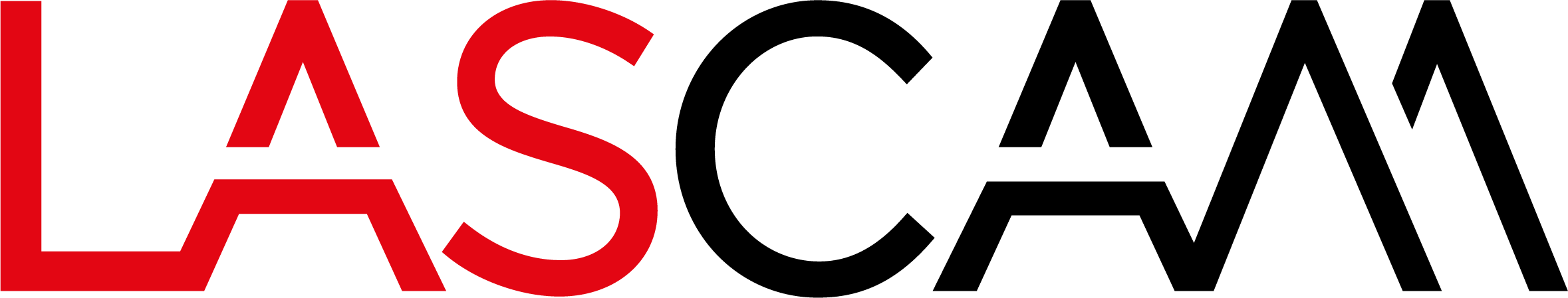 LASCAM systems | AYES